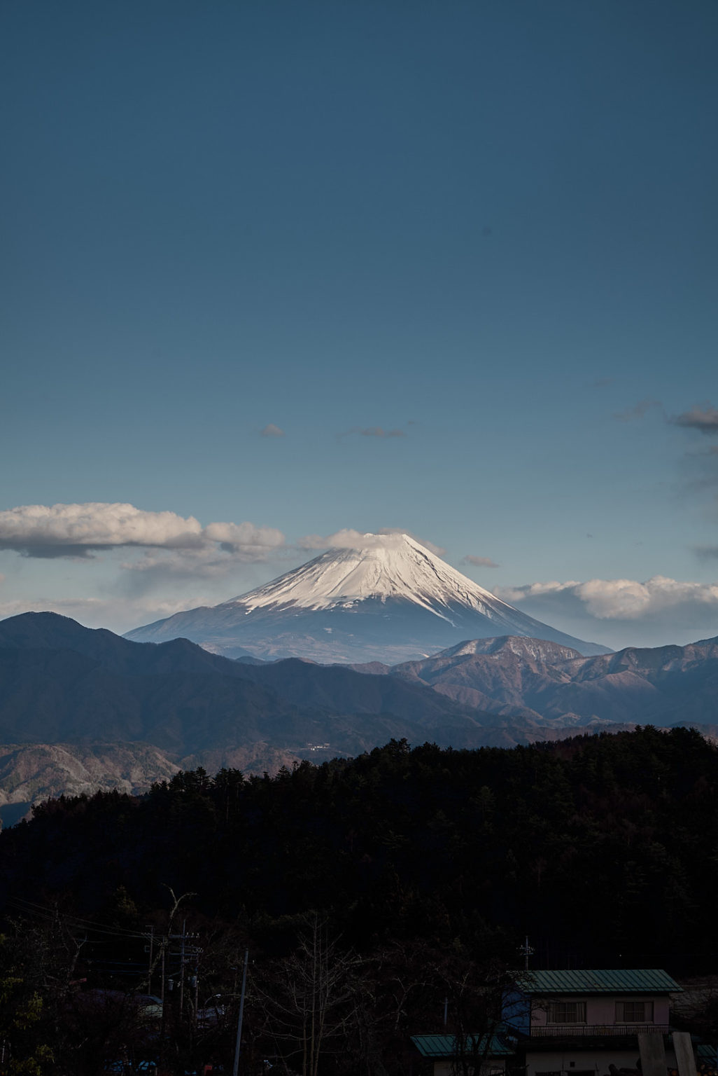ブルーチーズをはじめ、ナチュラルチーズのおいしさを伝えたい！山梨県富士川町「MOLQ CAFE」 - WeeeeKS - ウィークス
